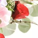 Výstaviště Flora Olomouc, a. s.